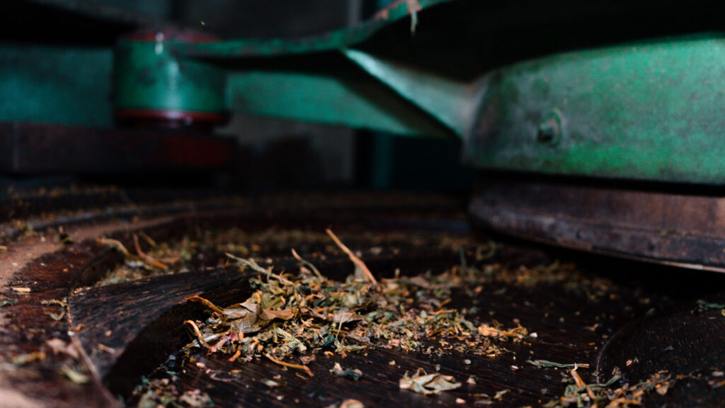 Tea Process - Muswenna Tea